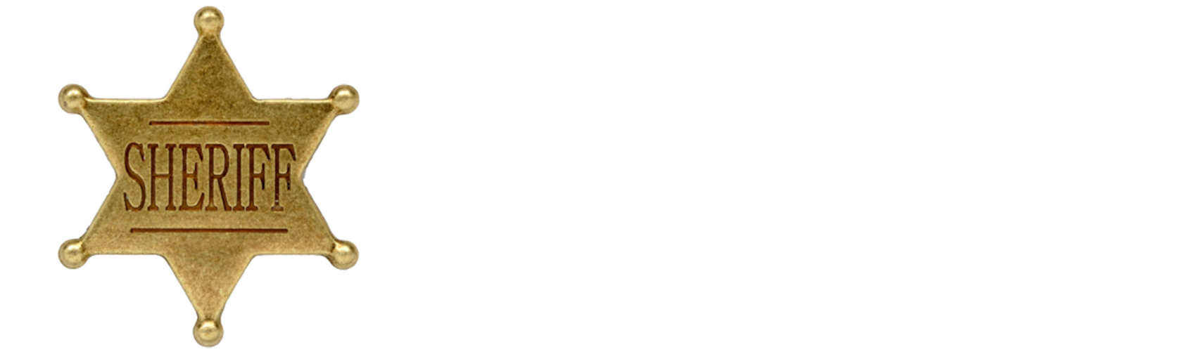 Sheriff - St. Louis County Courts - 21st Judicial Circuit